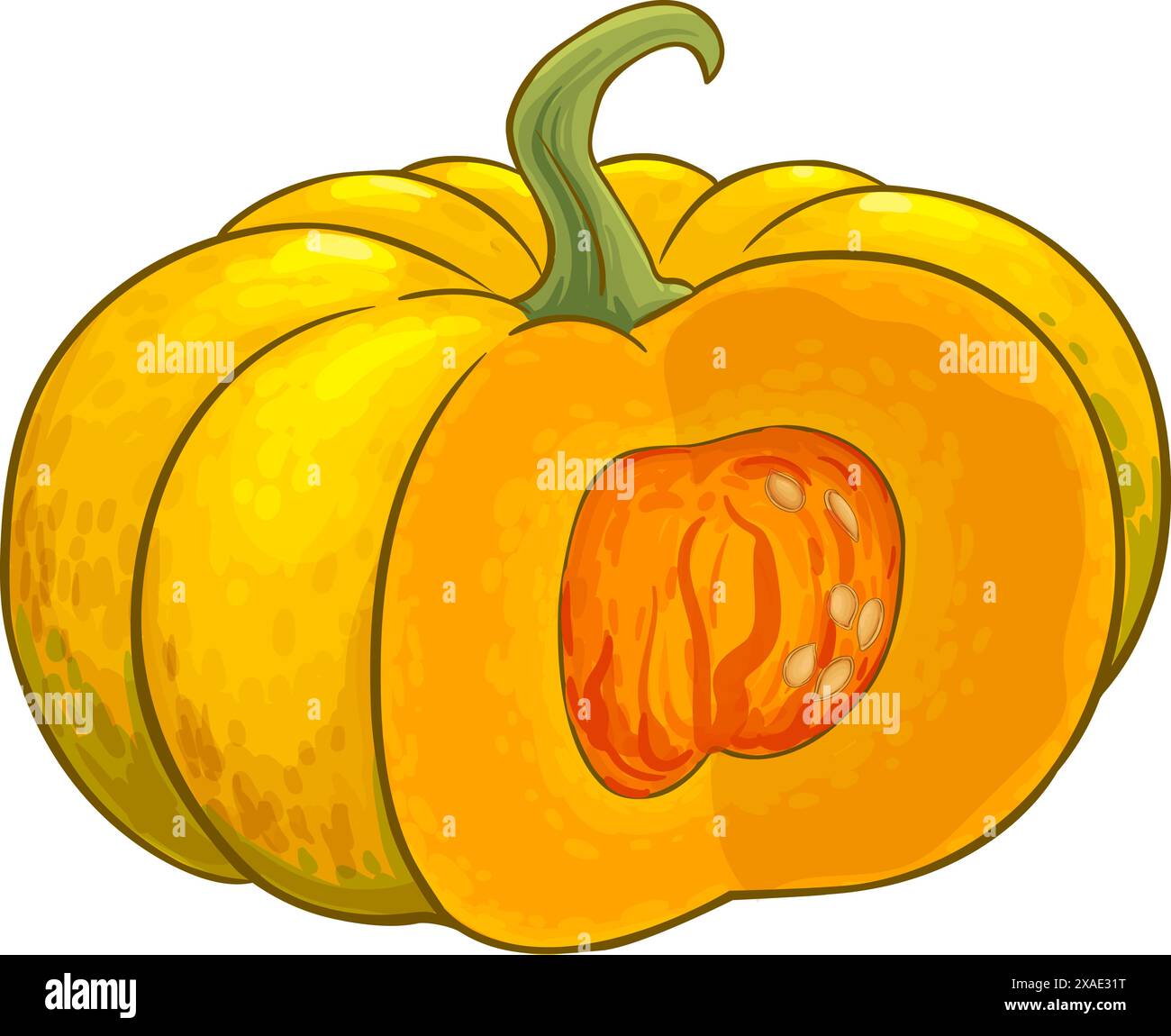Pumpkin Fruit Colored Detailed Illustration Stock Vector Image & Art ...