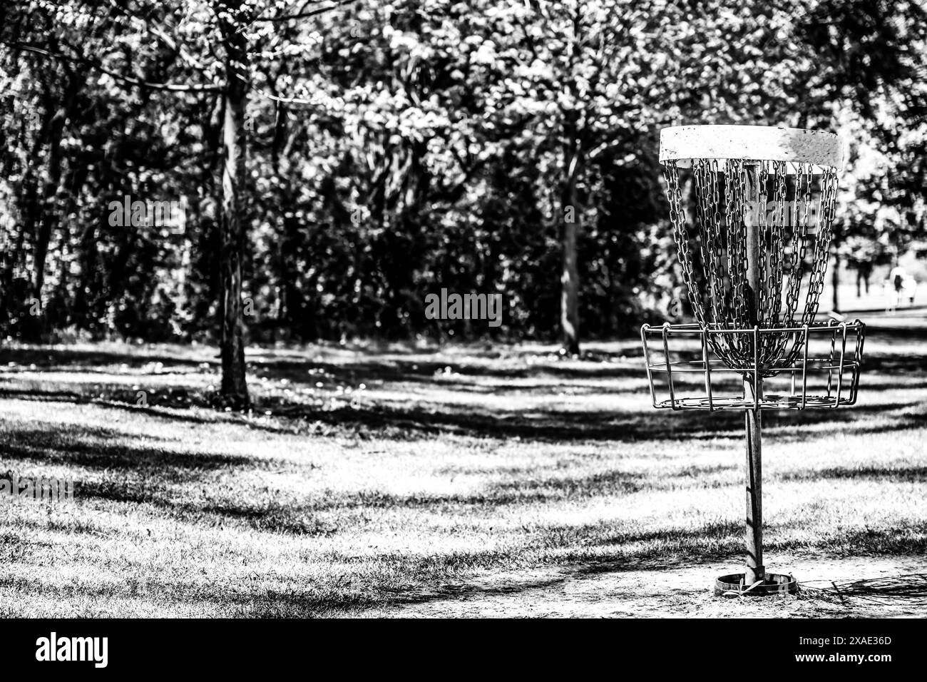 Disc golf goal with trees and open grass in background Stock Photo - Alamy