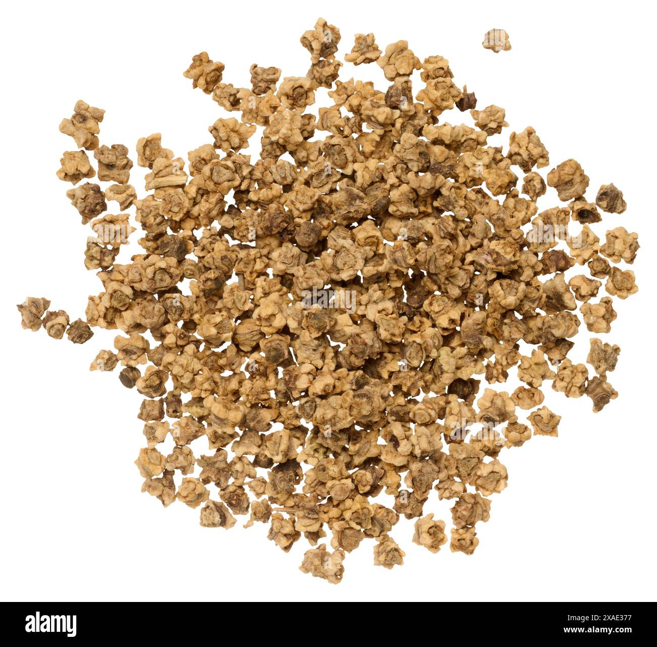 Heap of beet seeds on isolated background, seeds for planting. View ...