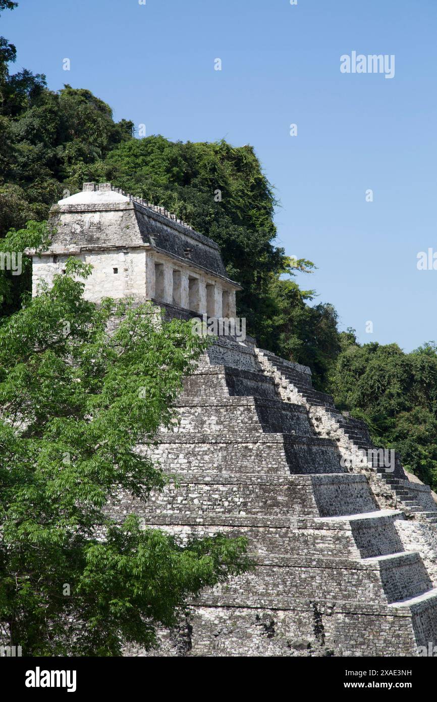 Mexico, Chiapas, Palenque, Palenque Archaeological Park, Temple of ...