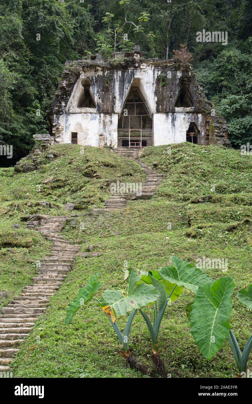 Mexico, Chiapas, Palenque, Palenque Archaeological Park, Temple of the ...