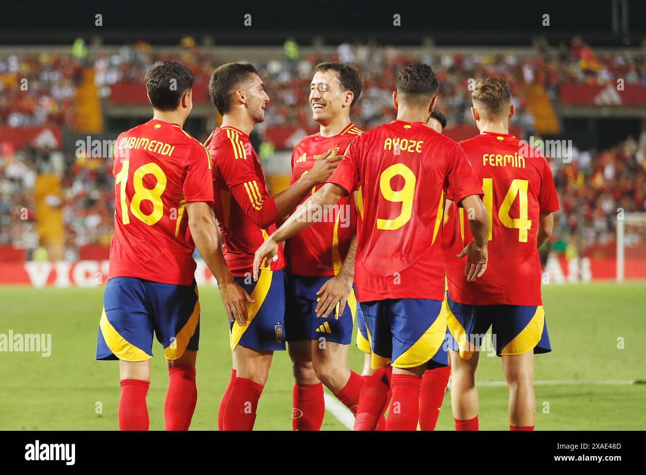 Badajoz, Spain. 5th June, 2024. Spain team group (ESP) Football/Soccer ...