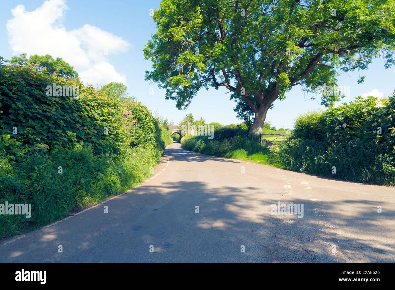 Looking down moore lane to the old railway bridge on bright spring ...