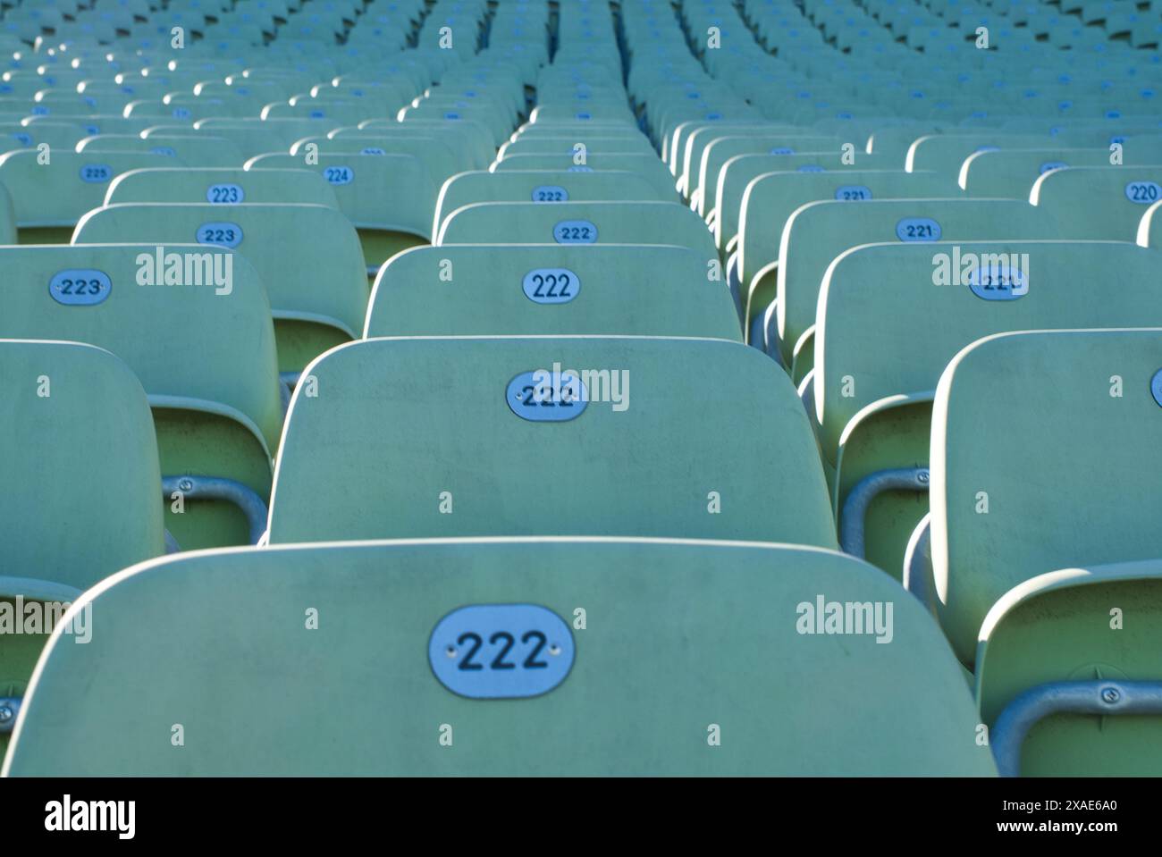 A row of empty seats numbered from 222 to 242. The seats are all the ...