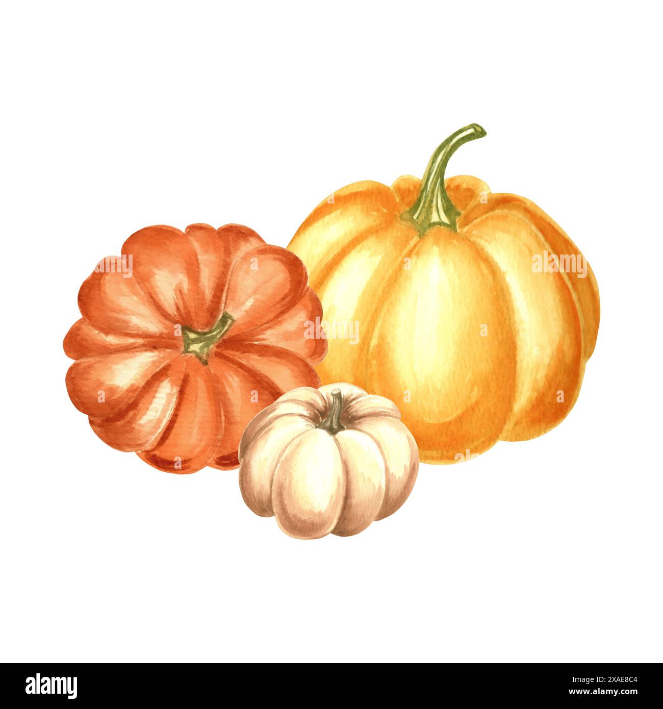 Food hand drawn Cut Out Stock Images & Pictures - Alamy