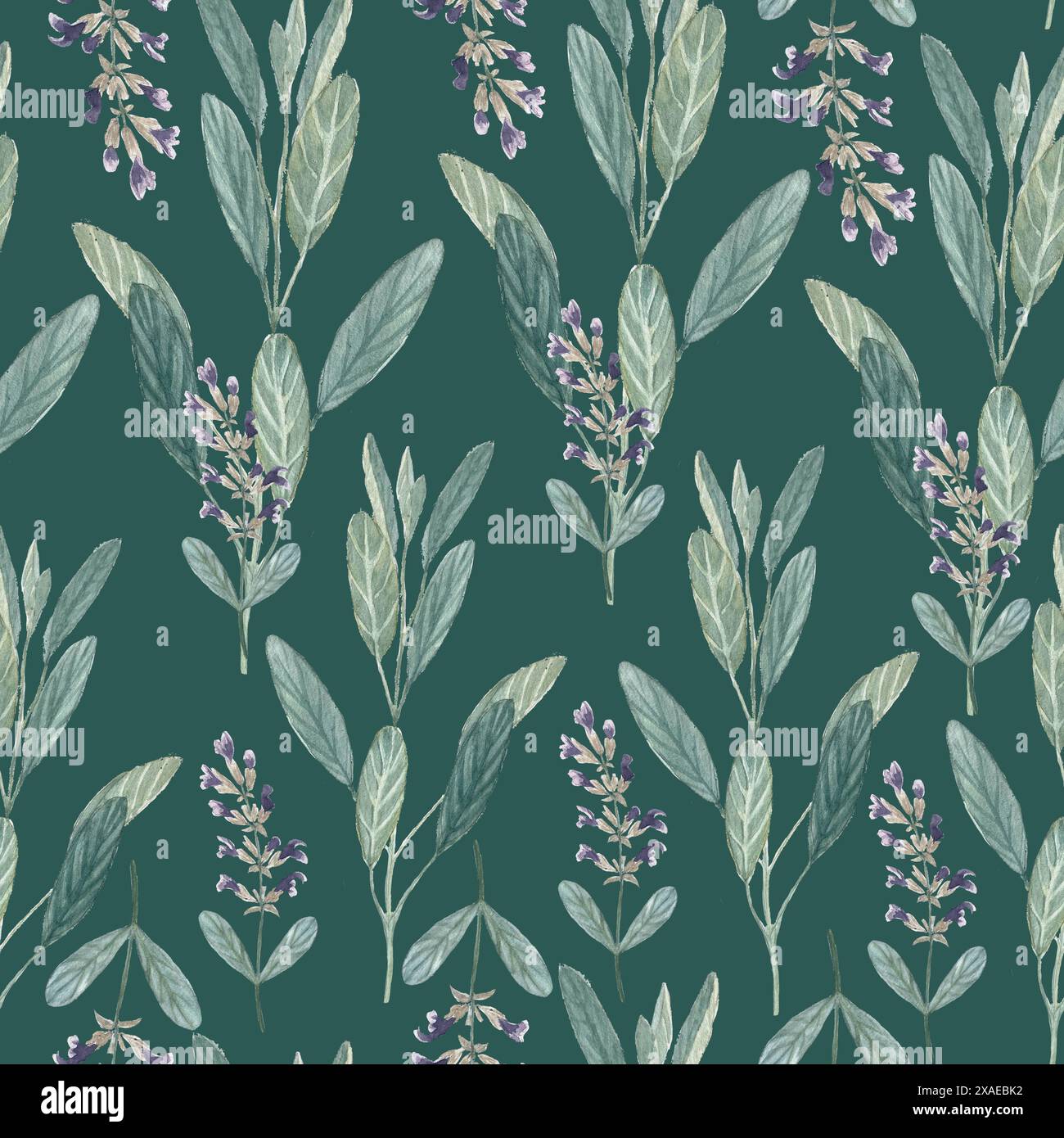 Plant hormones hi-res stock photography and images - Alamy