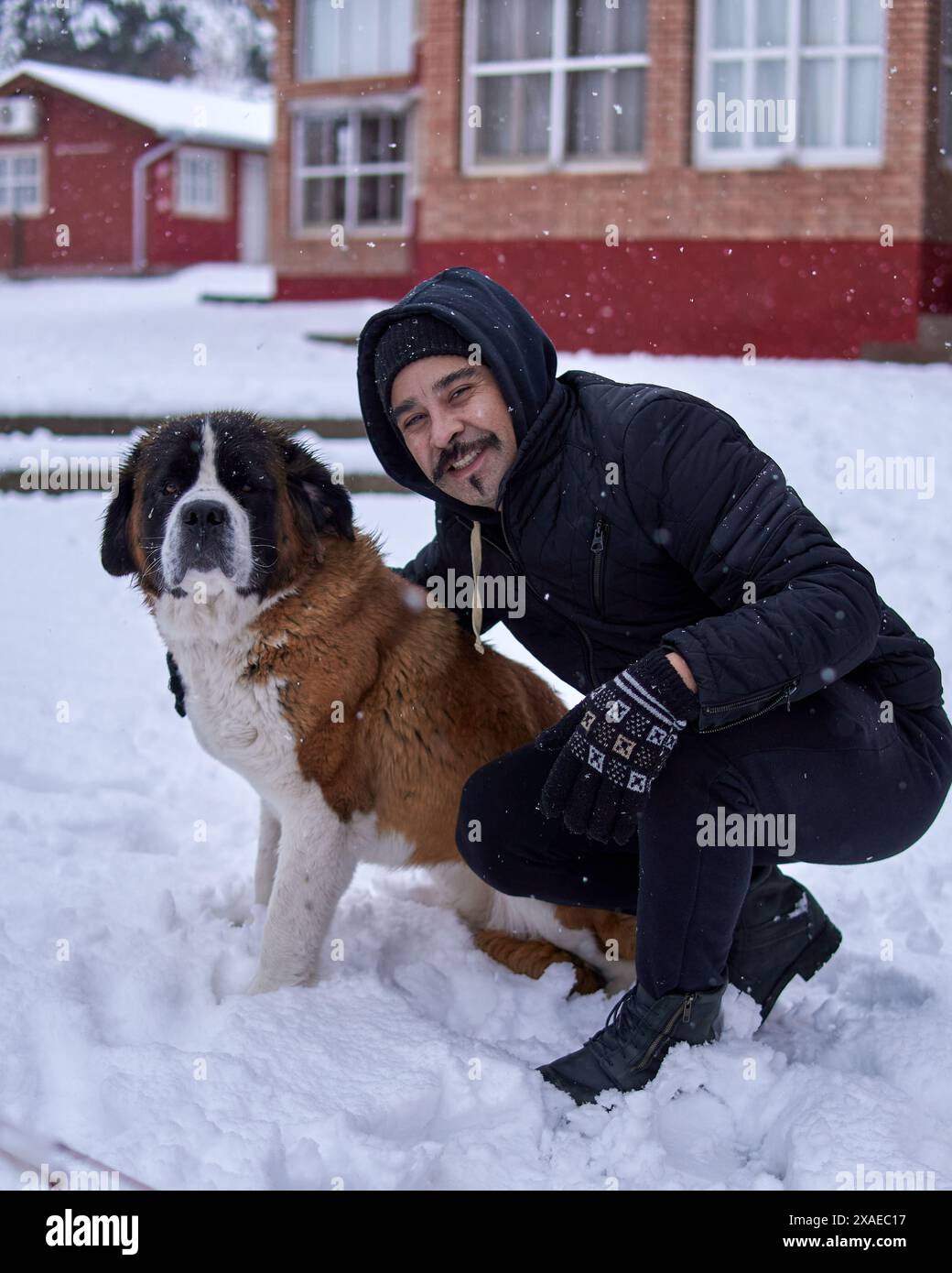 portrait of latin man and saint bernard dog in the snow looking at ...