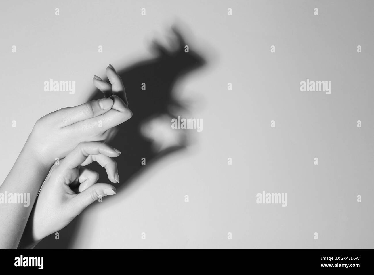 Rabbit black silhouette Black and White Stock Photos & Images - Alamy