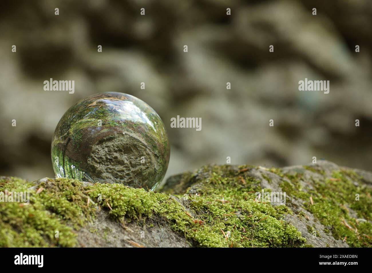 Beautiful forest, overturned reflection. Crystal ball on stone surface ...