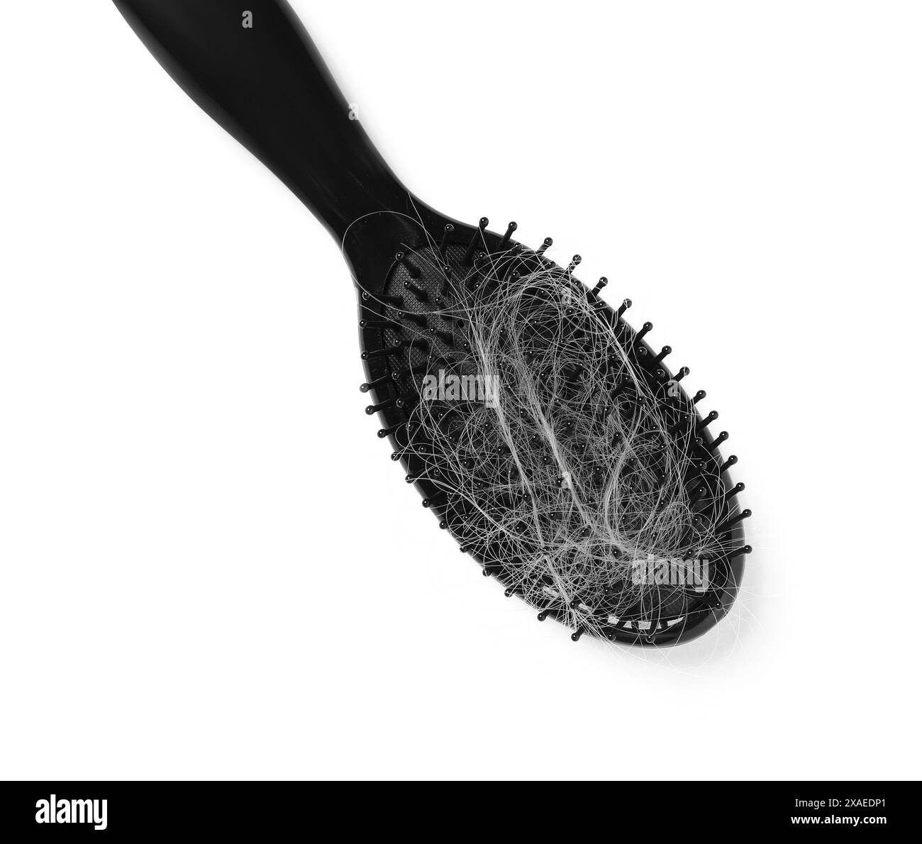 Hair on top of head Cut Out Stock Images & Pictures - Alamy