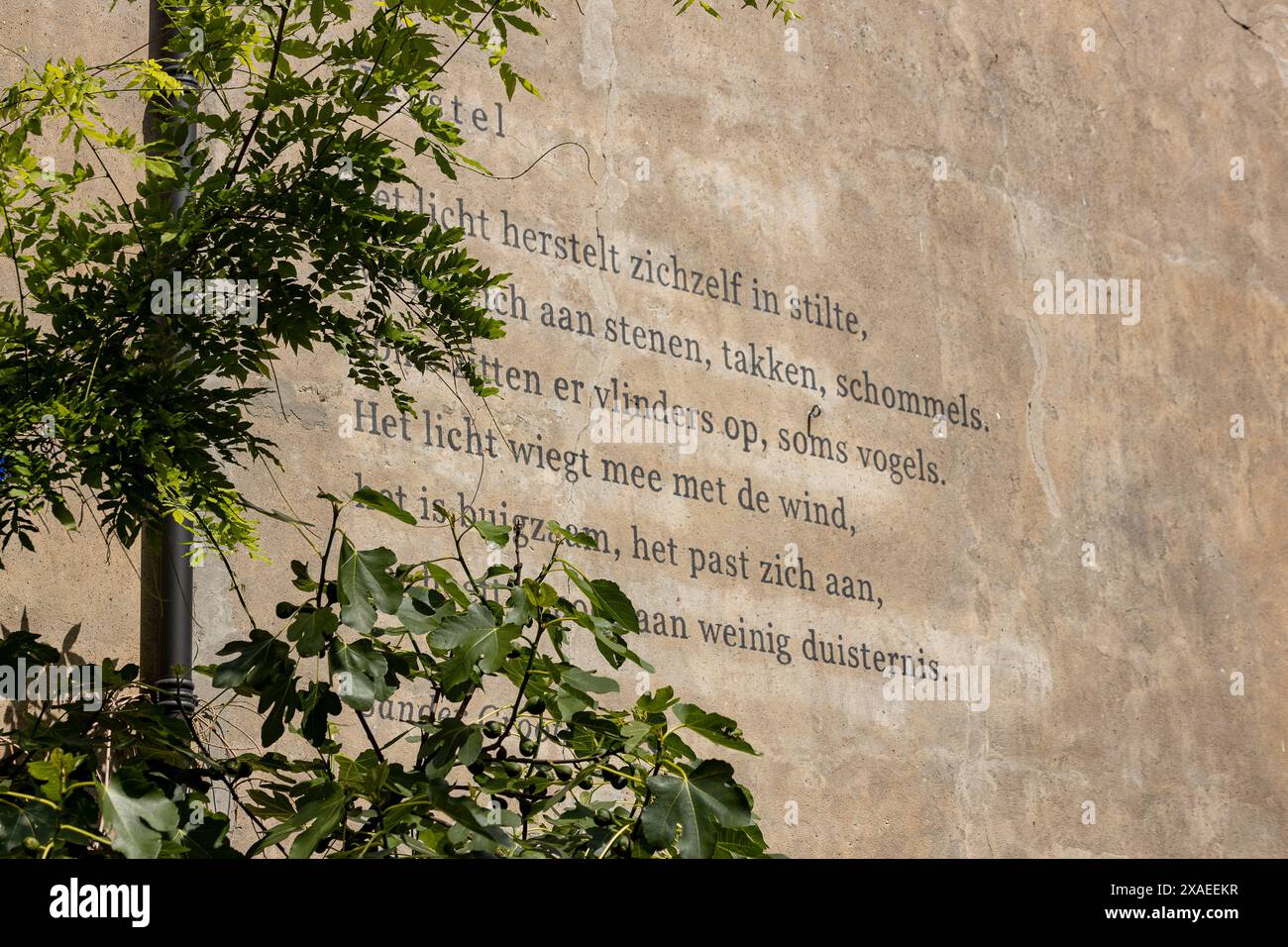 Typical historic medieval exterior facades of Hanseatic city center ...