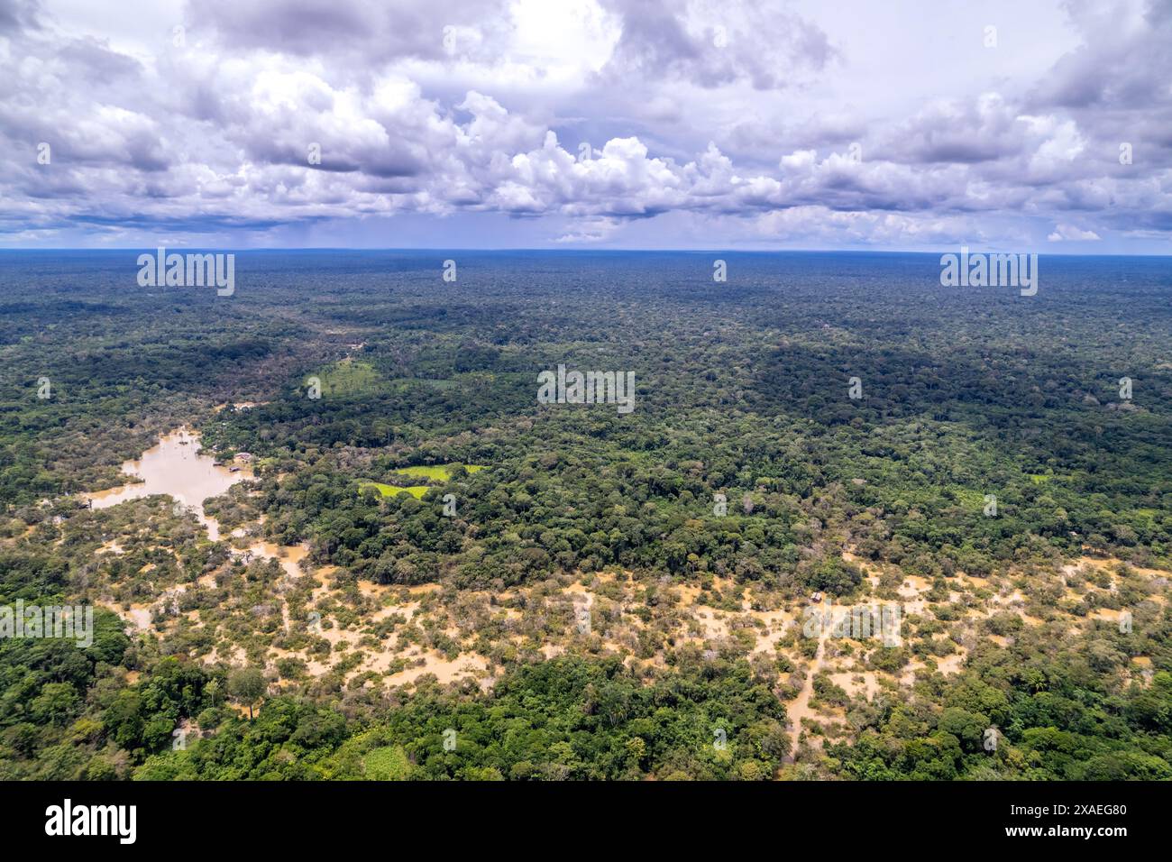 Aerial view of huge flooded forest in Amazon rainforest beautiful ...