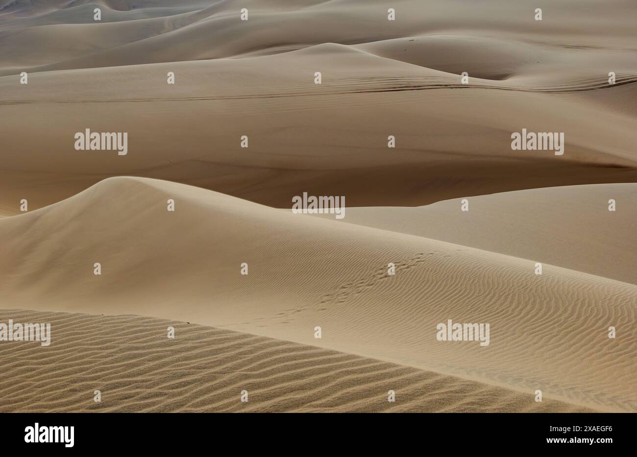 Sandwich harbour dunes, morning, sunrise landscape.. Walvis Bay Namibia ...