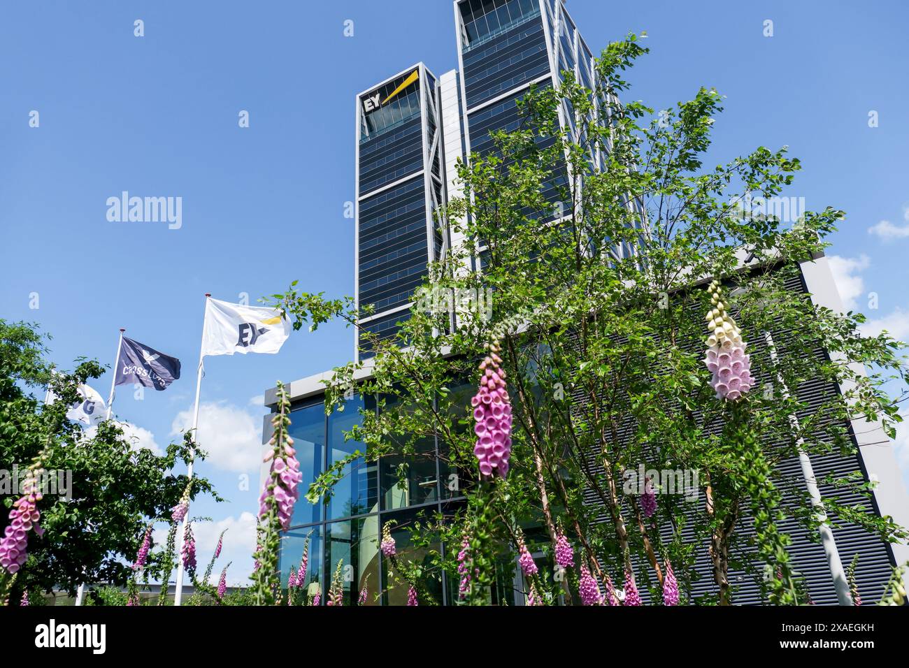 Ernst en young hi-res stock photography and images - Alamy