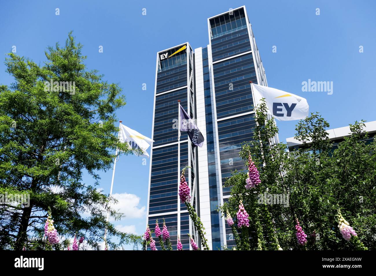 Ey global hi-res stock photography and images - Alamy