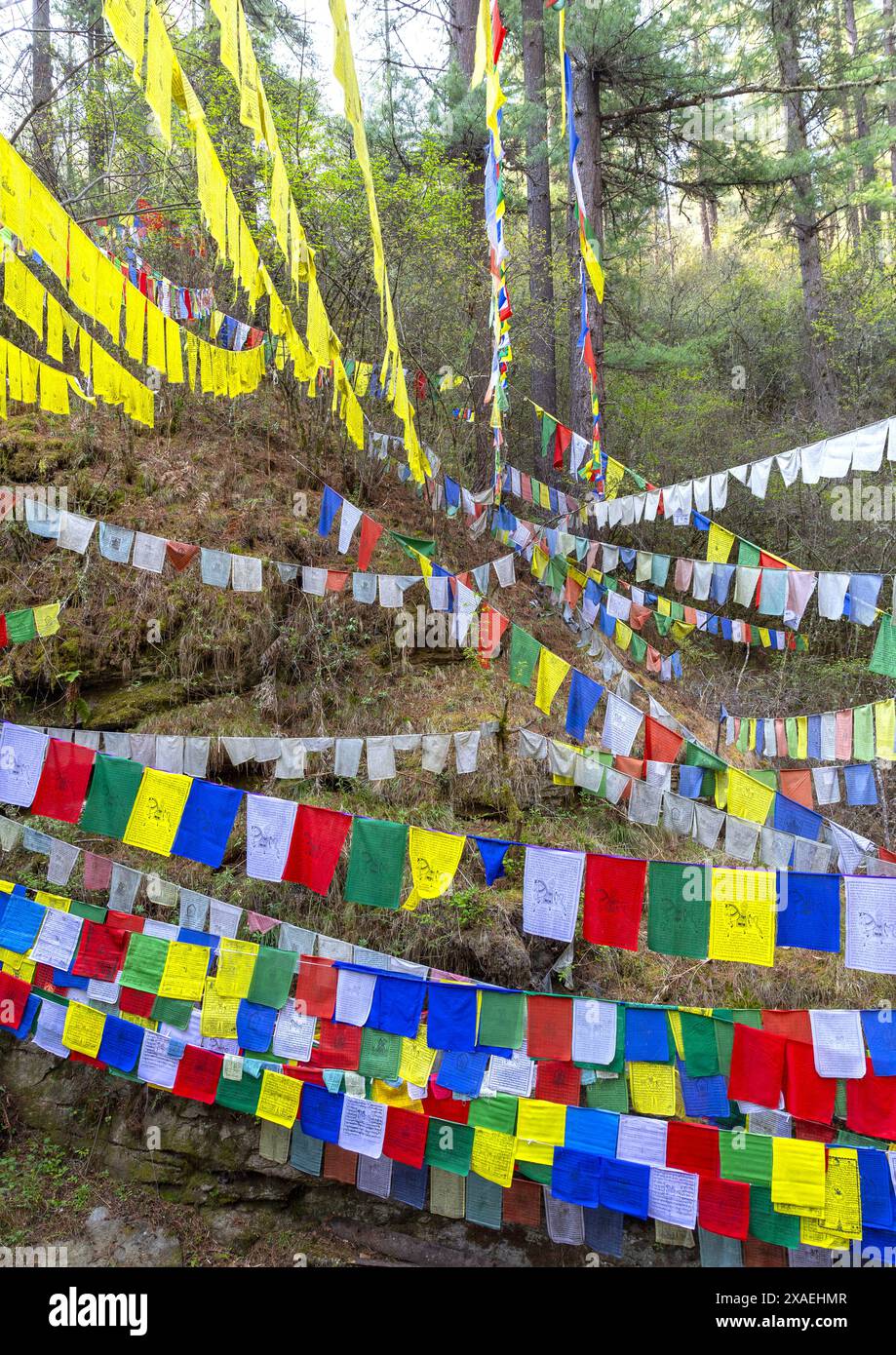 Bhutan 2024 863 hi-res stock photography and images - Alamy