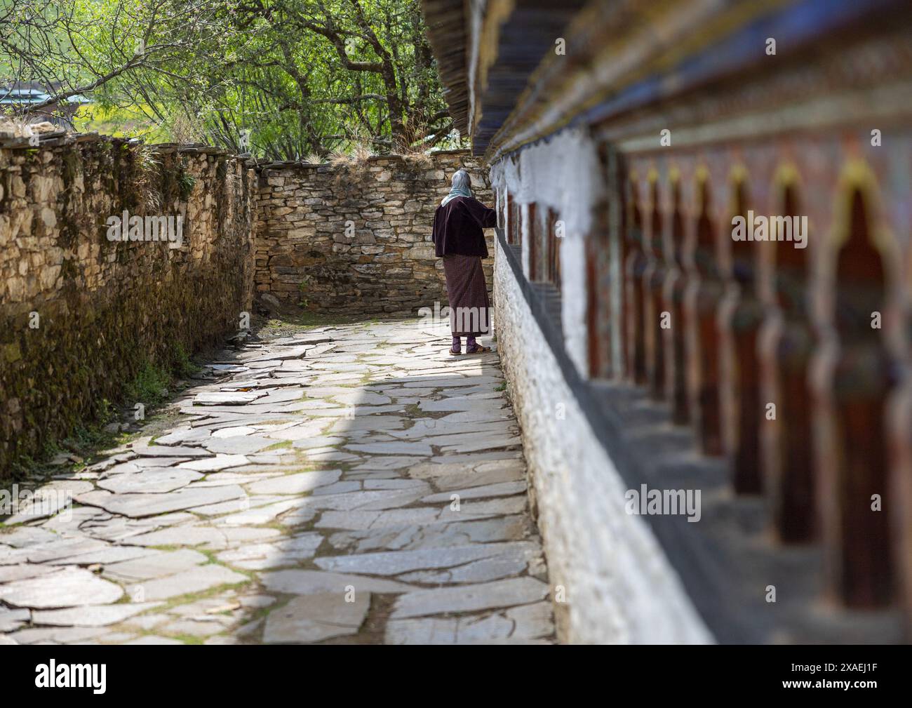Bhutanese woman spiniing a prayer wheels in Ogyen Choling, Bumthang ...