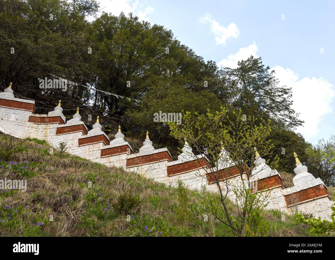 Bhutan 2024 813 hi-res stock photography and images - Alamy