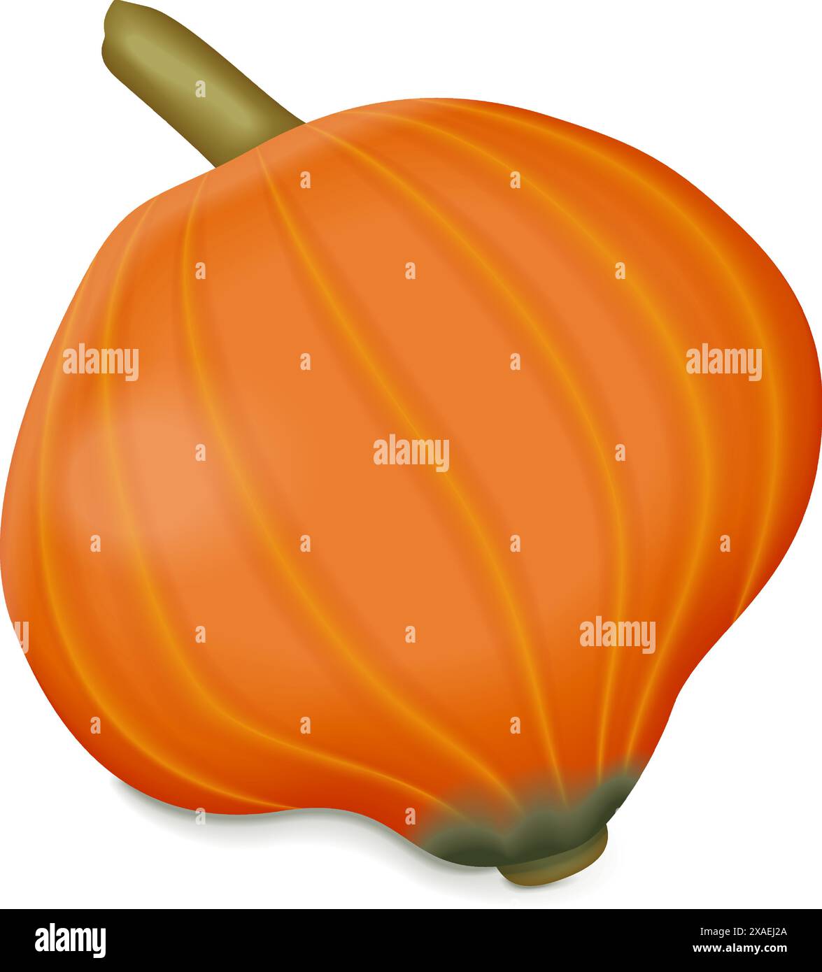 Golden Nugget squash Winter squash. Cucurbita maxima. Fruits and ...