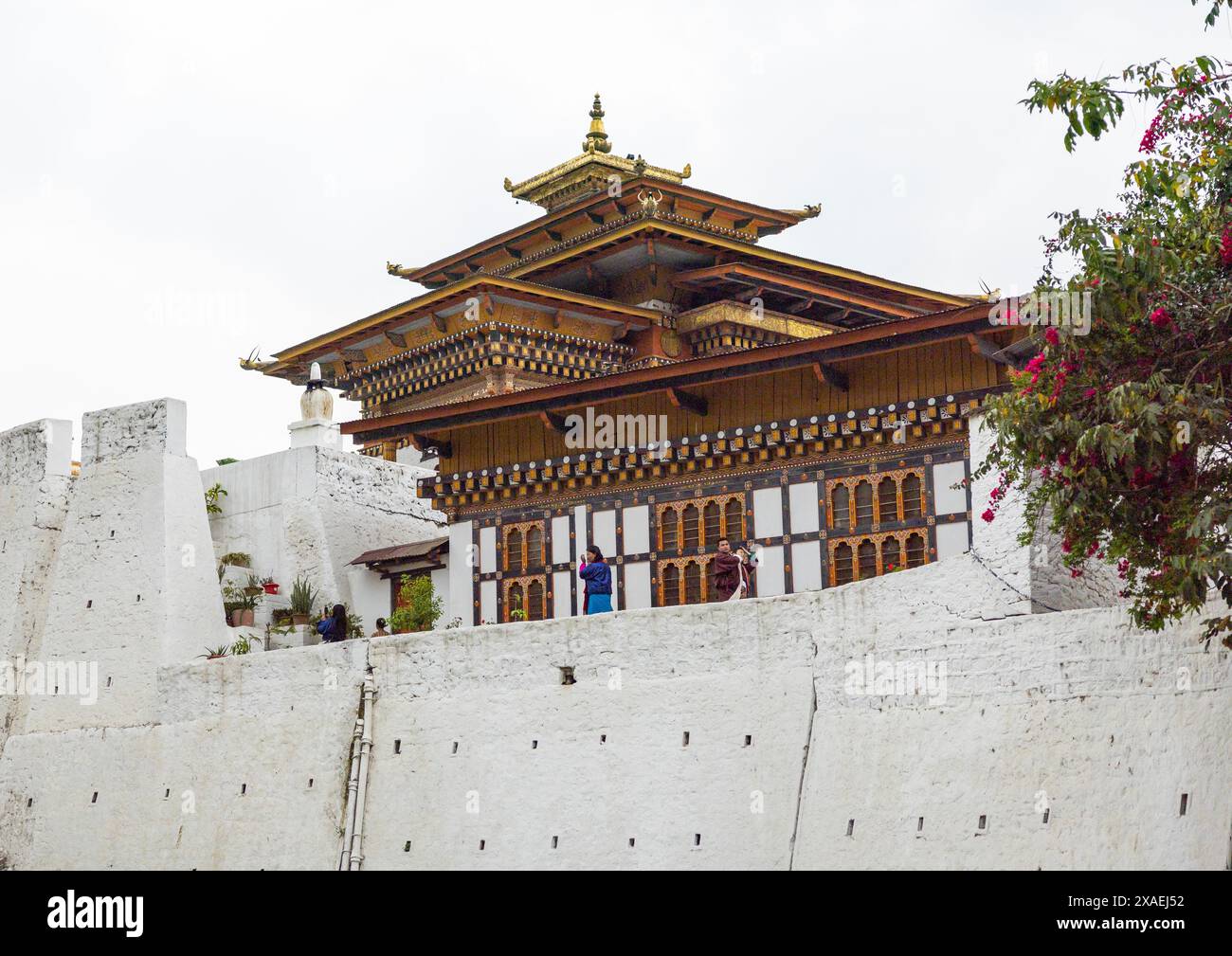 Punakha Dzong Punakha Dzongkhag Punakha Bhutan Stock Photo Alamy