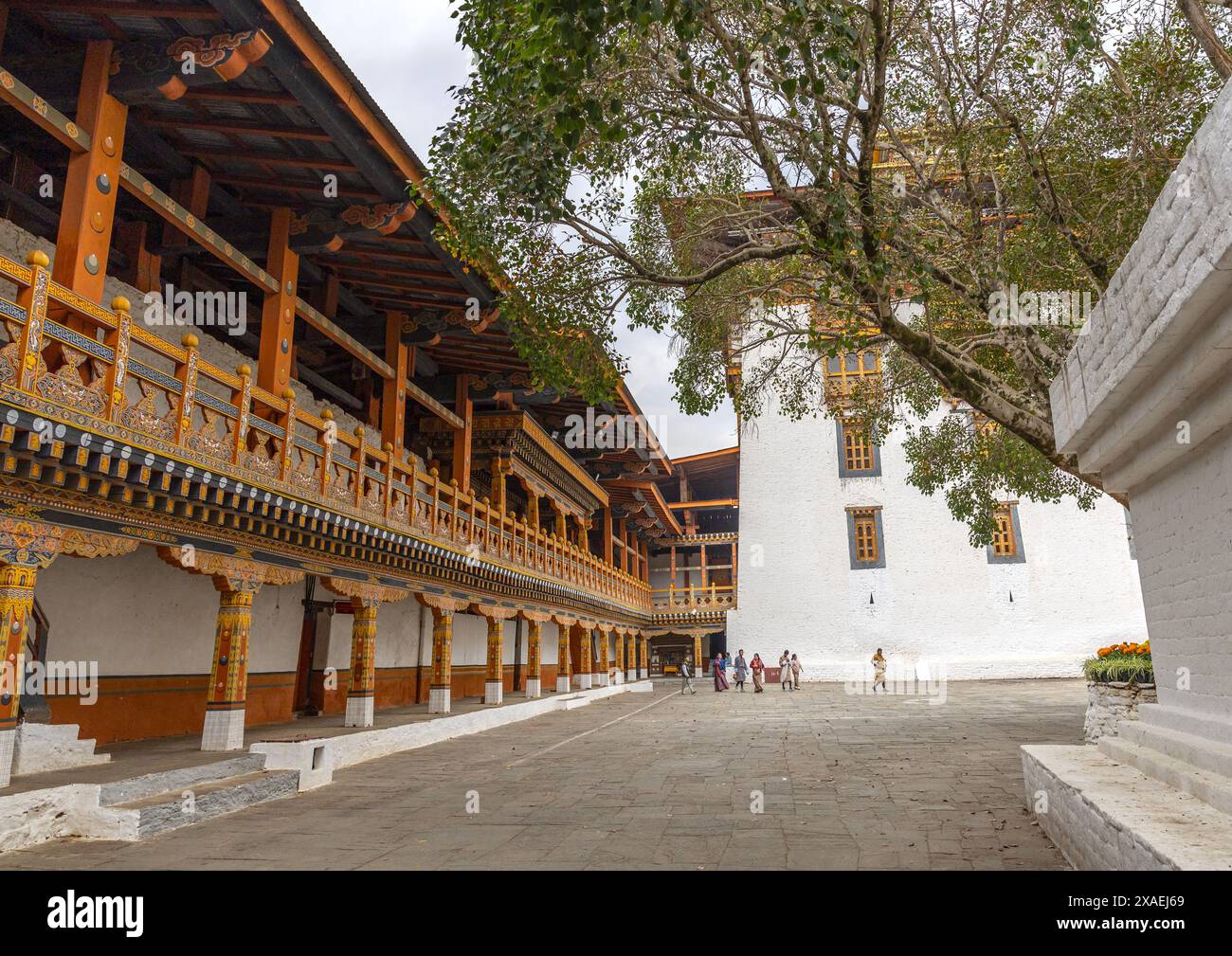 Punakha Dzong Punakha Dzongkhag Punakha Bhutan Stock Photo Alamy