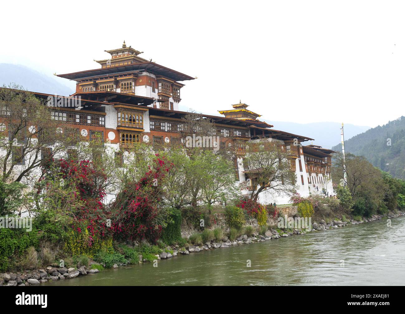Punakha dzong, Punakha dzongkhag, Punakha, Bhutan Stock Photo - Alamy