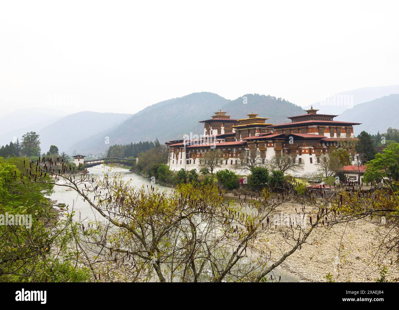 Punakha dzong, Punakha dzongkhag, Punakha, Bhutan Stock Photo - Alamy