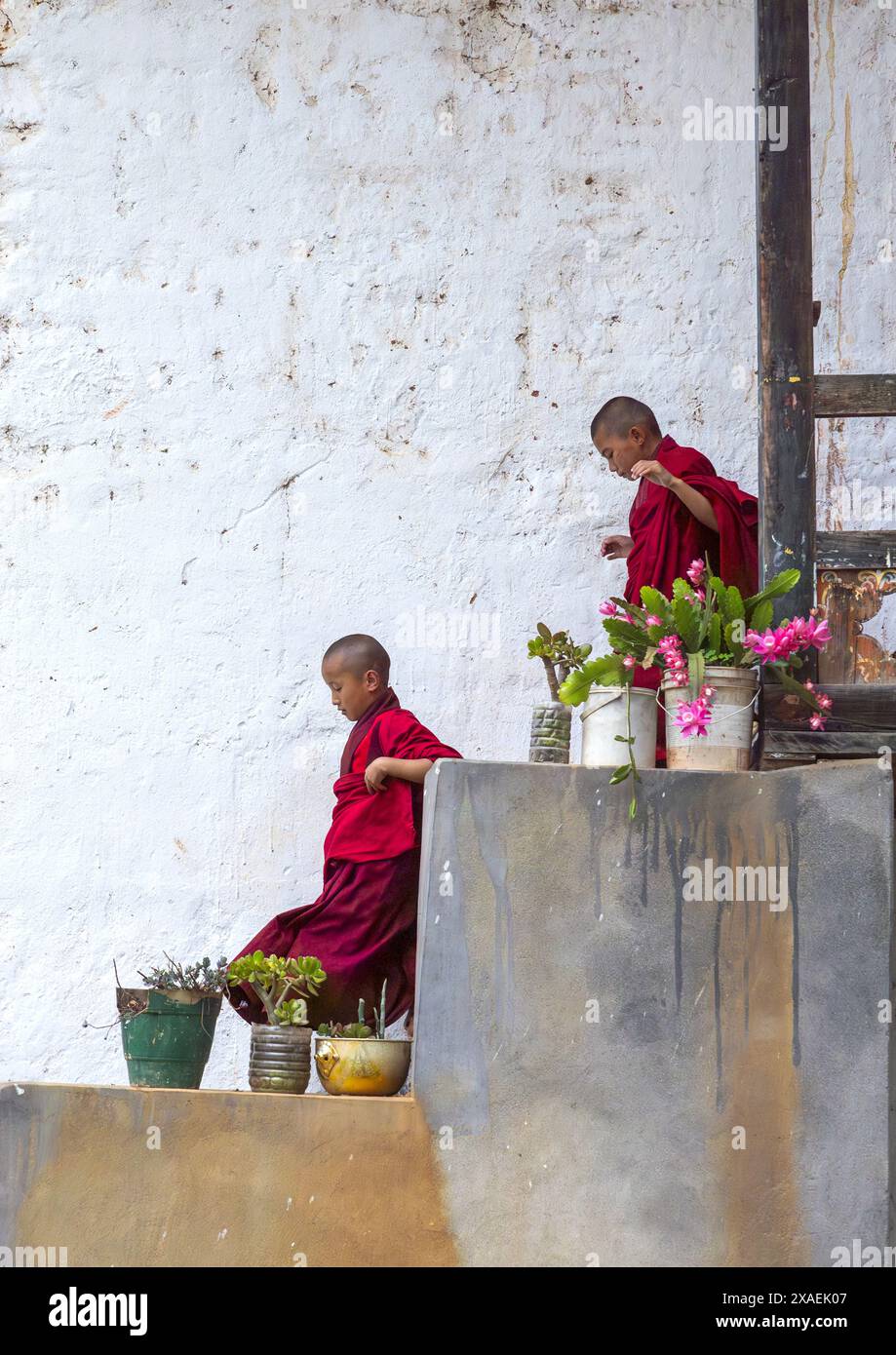 Bhutanese novices monks on stairs in Nyenzer Lhakhang, Thedtsho Gewog ...