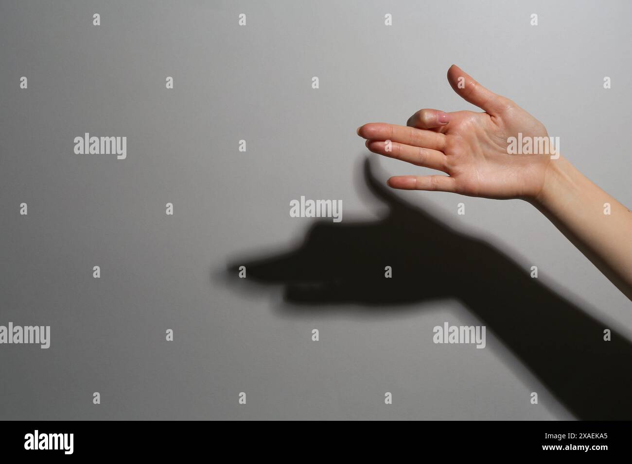 Shadow puppet. Woman making hand gesture like dog on grey background, closeup. Space for text ...