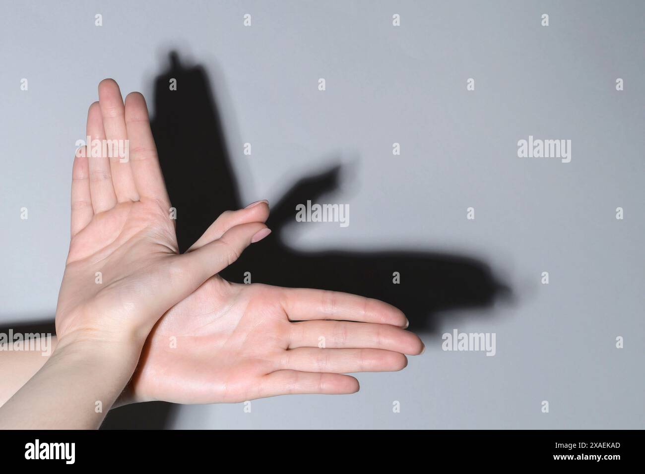 Shadow puppet. Woman making hand gesture like bird on light background ...