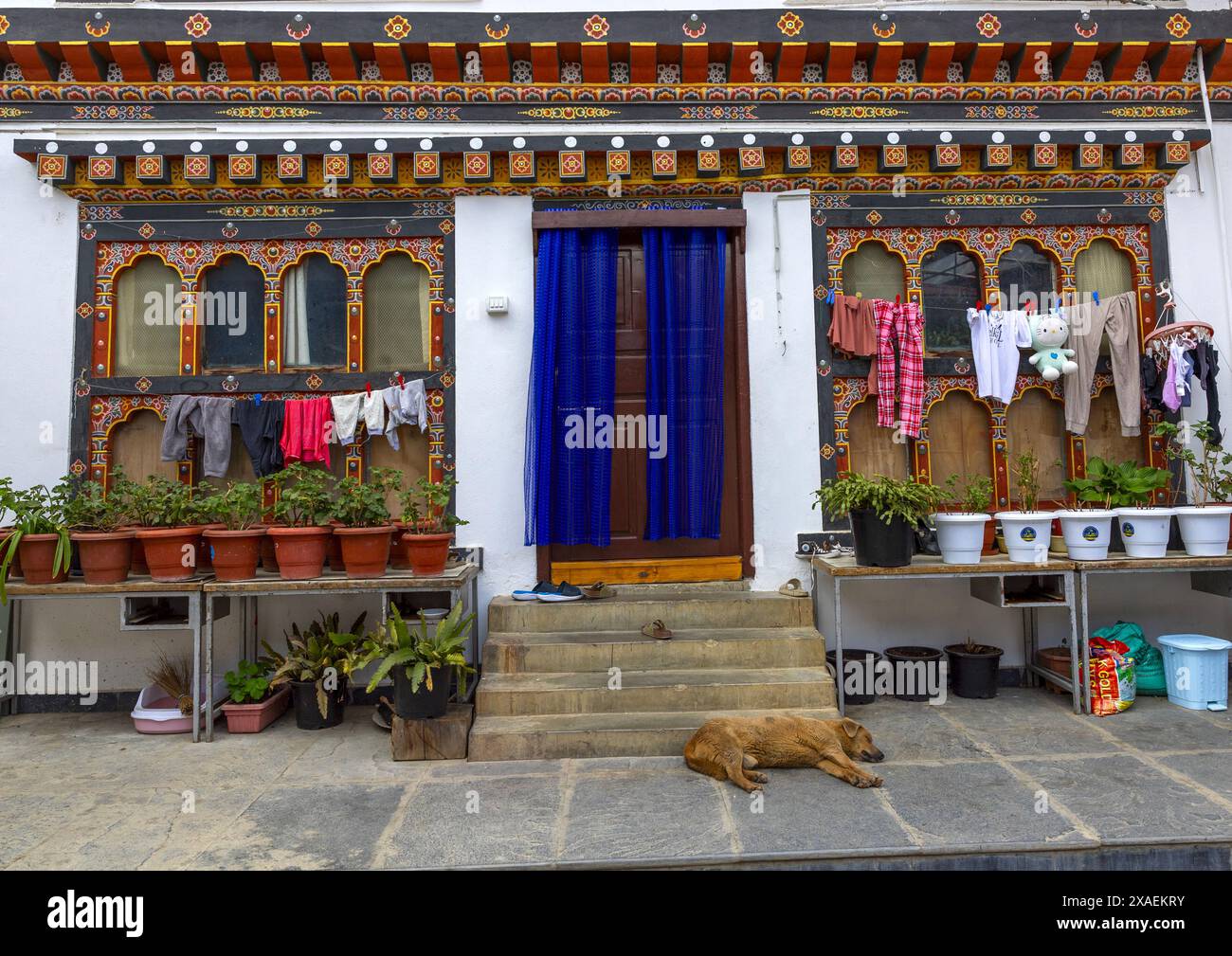 Bhutan 2024 243 hi-res stock photography and images - Alamy