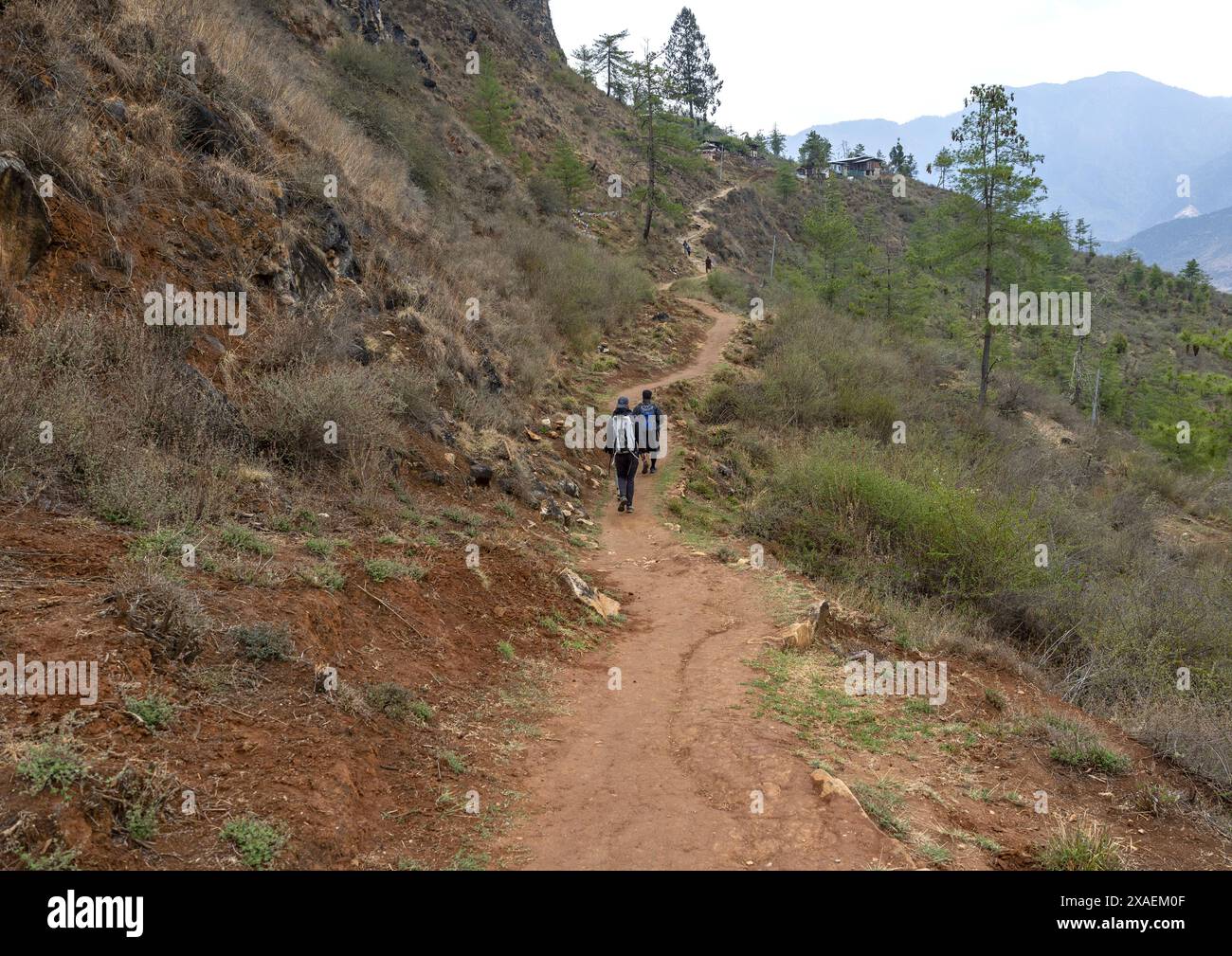 Tourists hiking in the mountain, Paro, Drakarpo, Bhutan Stock Photo - Alamy