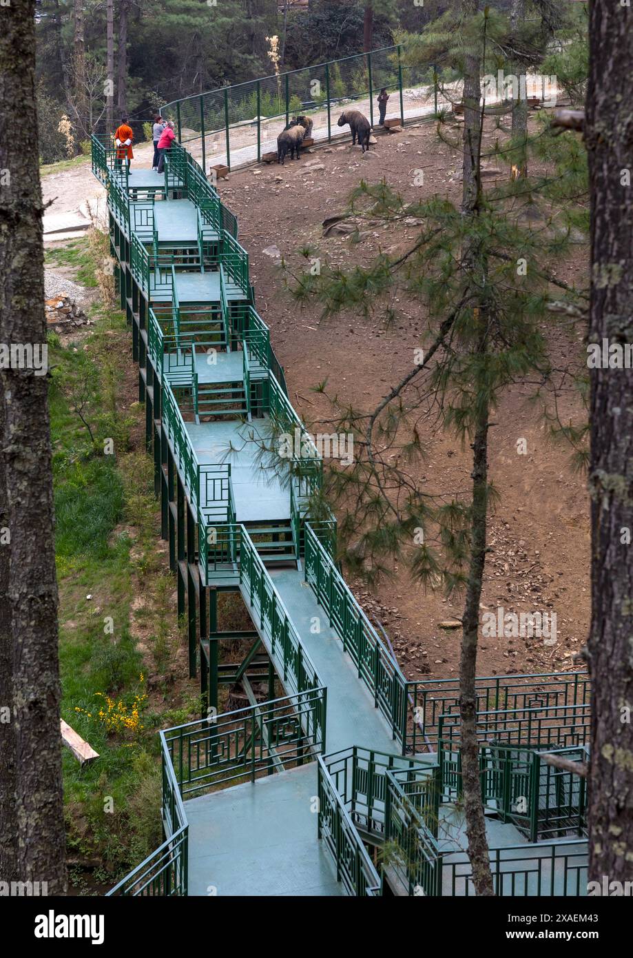 Bhutan 2024 149 hi-res stock photography and images - Alamy