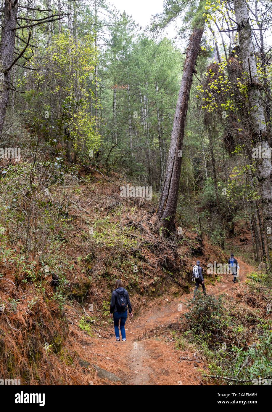 Bhutan 2024 202 hi-res stock photography and images - Alamy