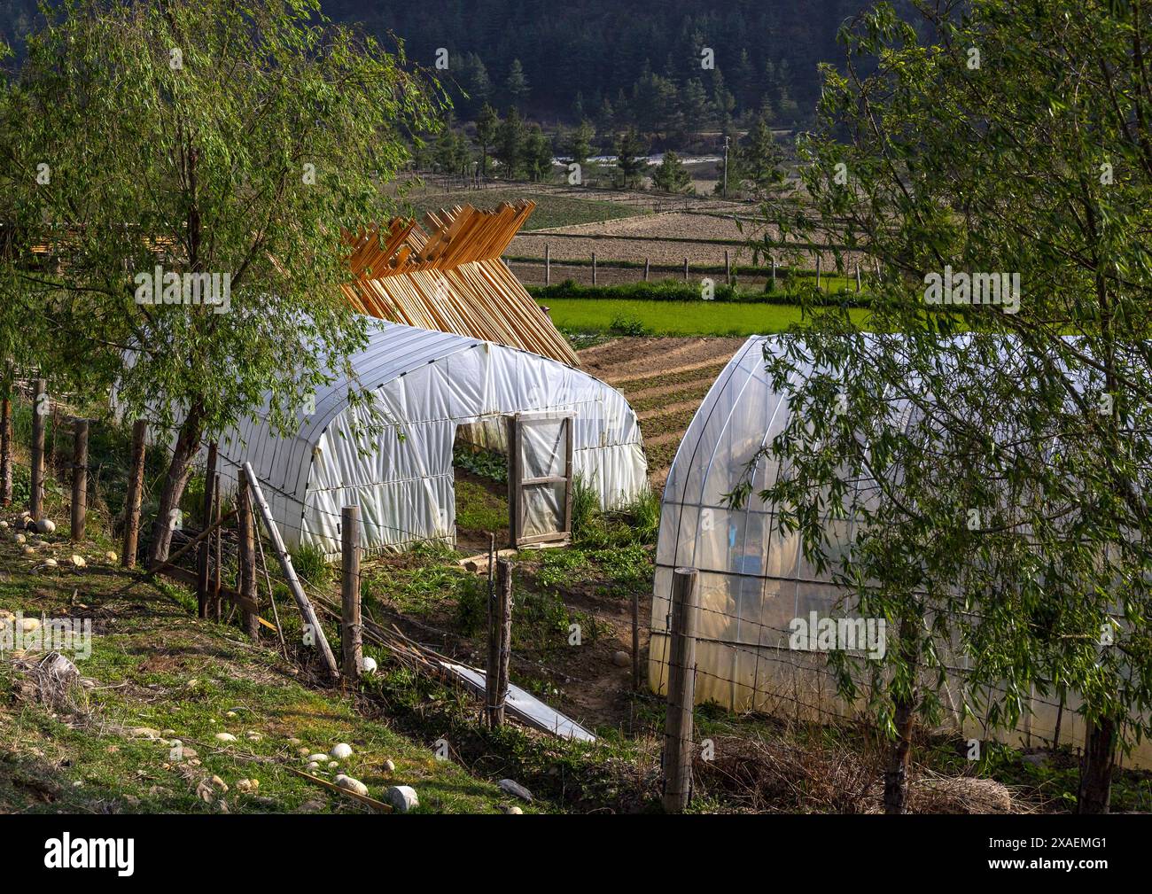 Bhutan 2024 828 hi-res stock photography and images - Alamy