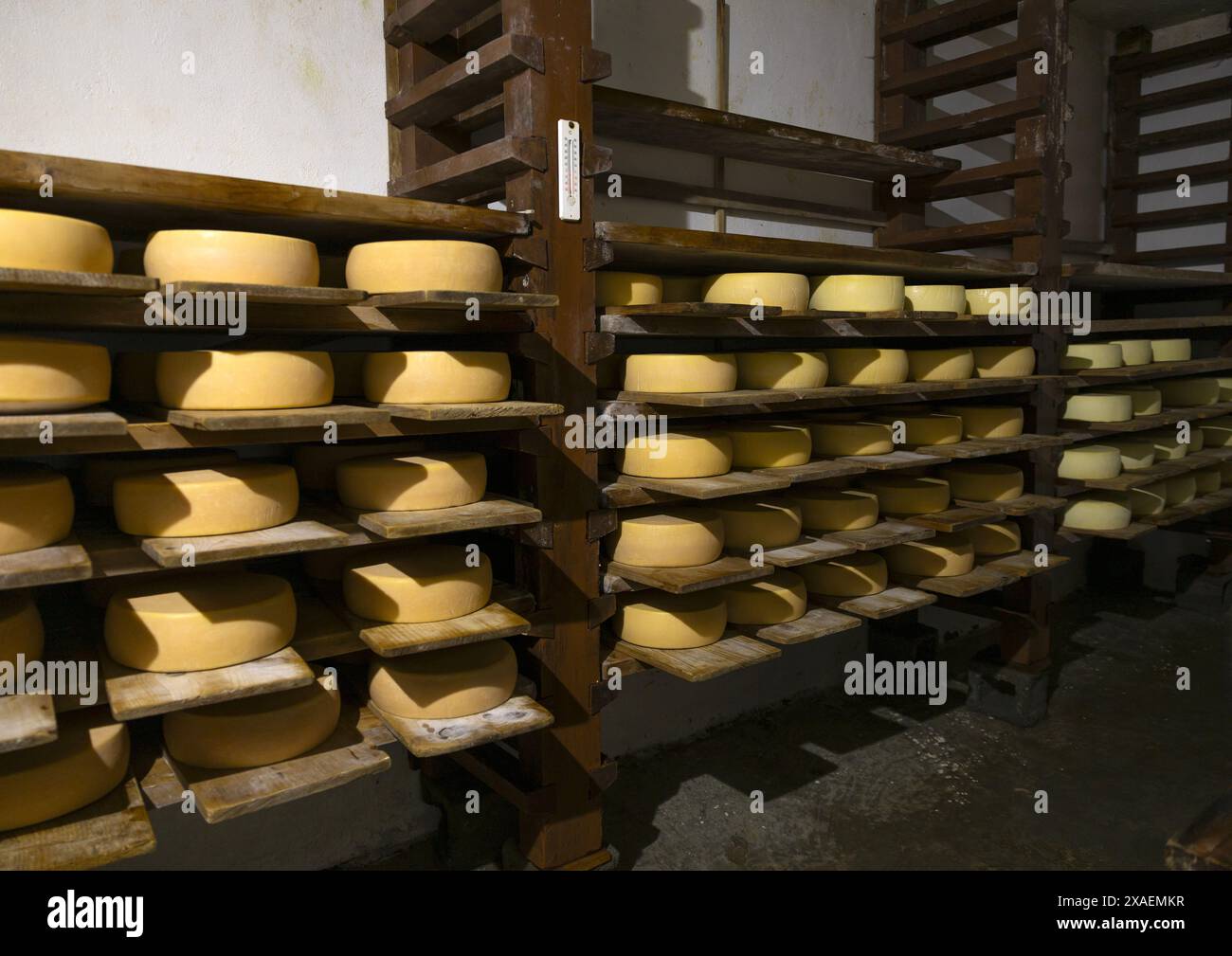 Swiss cheese factory, Chhoekhor Gewog, Bumthang, Bhutan Stock Photo - Alamy