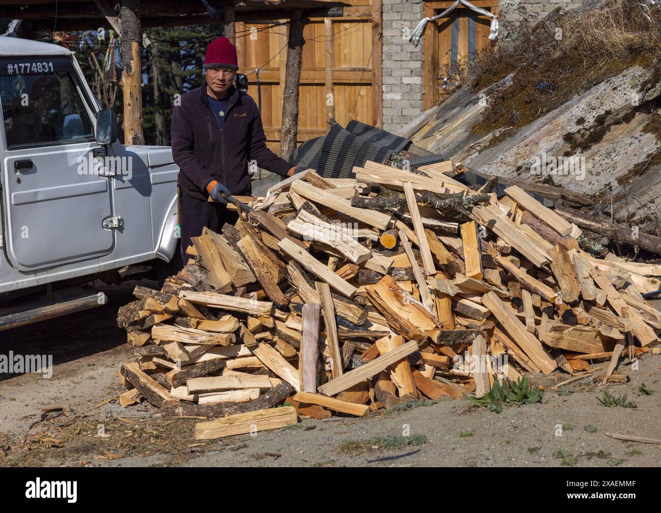 Bhutanese man collecting firewood, Wangchang Gewog, Paro, Bhutan Stock ...