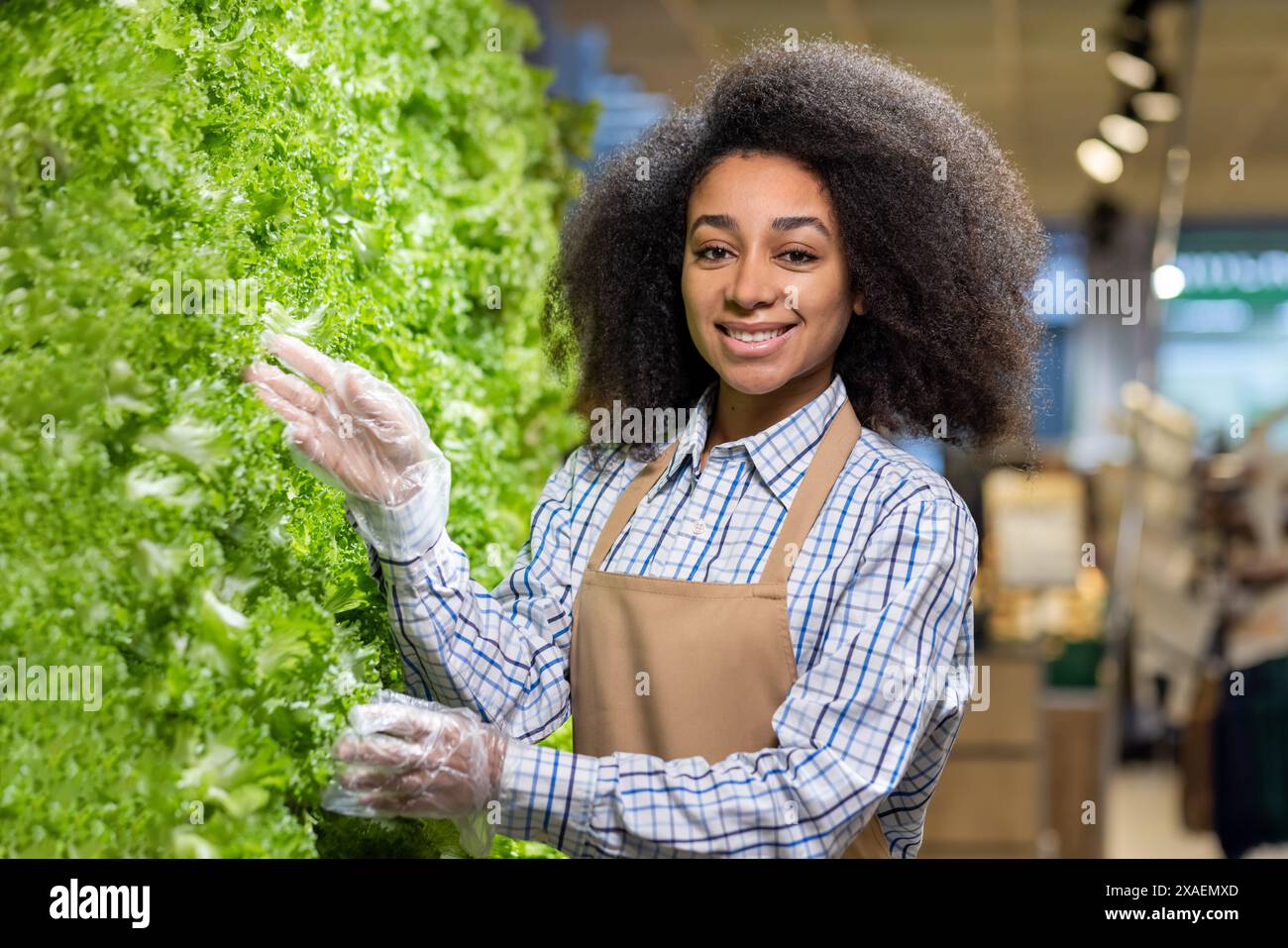 Supermarket worker wearing gloves and apron, and arranging fresh greens ...