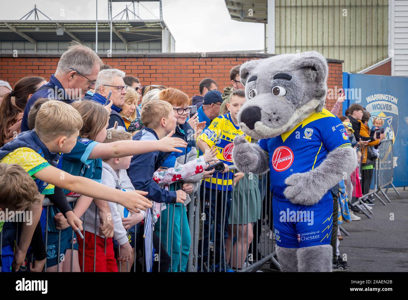 Warrington wolves mascot hi-res stock photography and images - Alamy