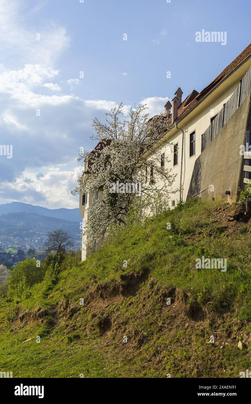 photography of a white castle walls on a green hill in daylight in ...