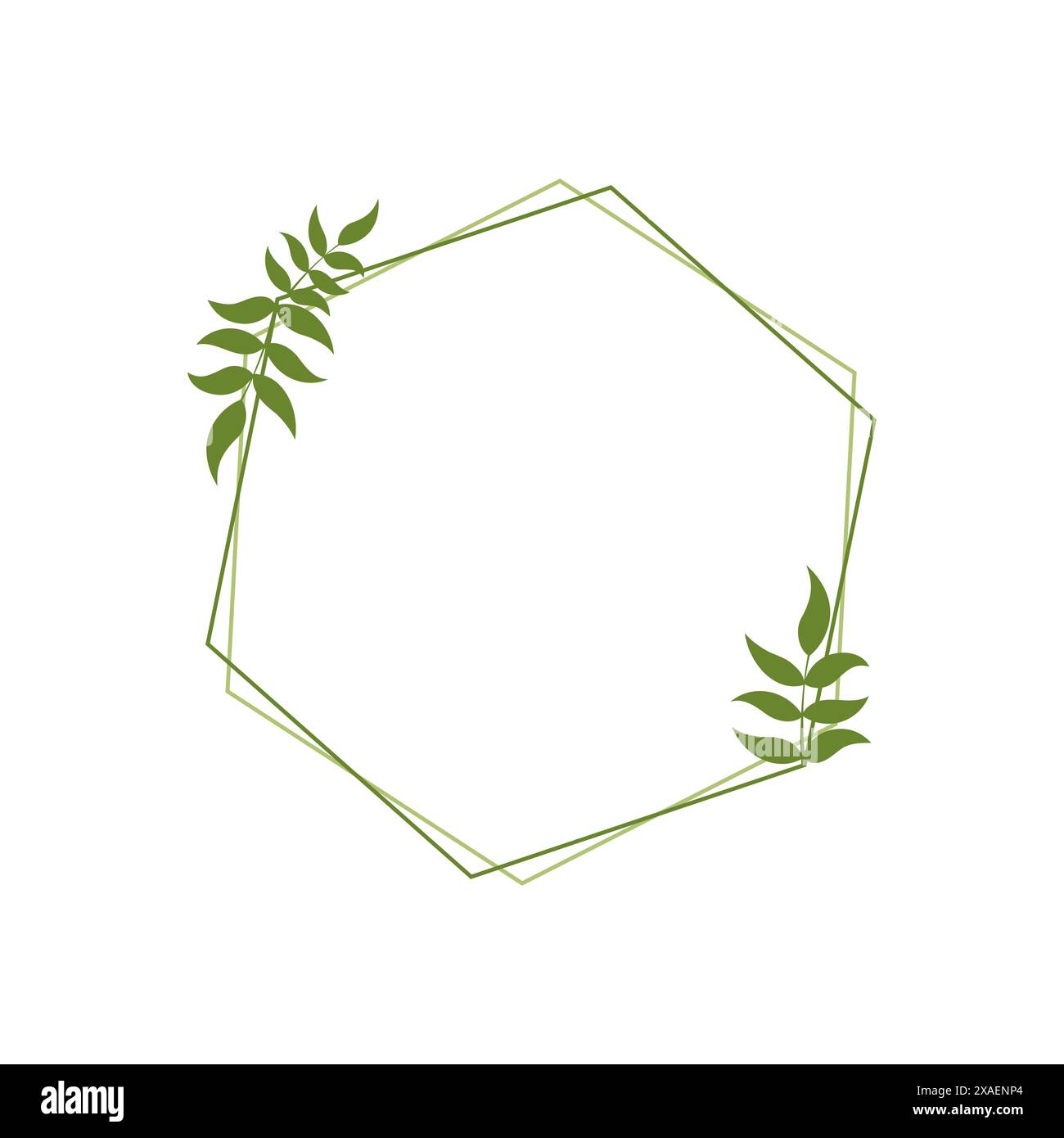 Ornate leaf border frame Stock Vector Images - Alamy