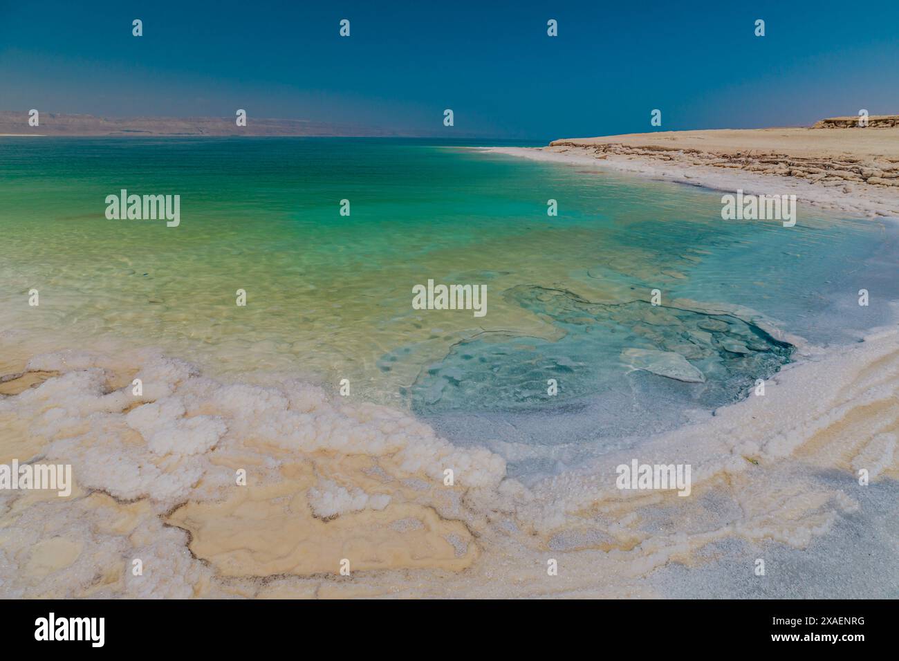 close up detail of intricate salt formations at the Dead Sea's edge ...