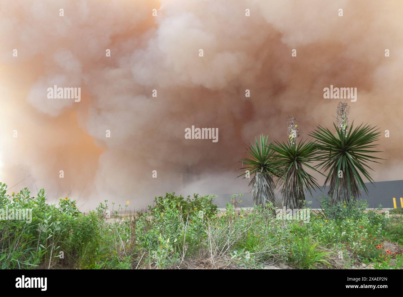 Great success for SpaceX with Starship S29 & B11 after liftoff both ...