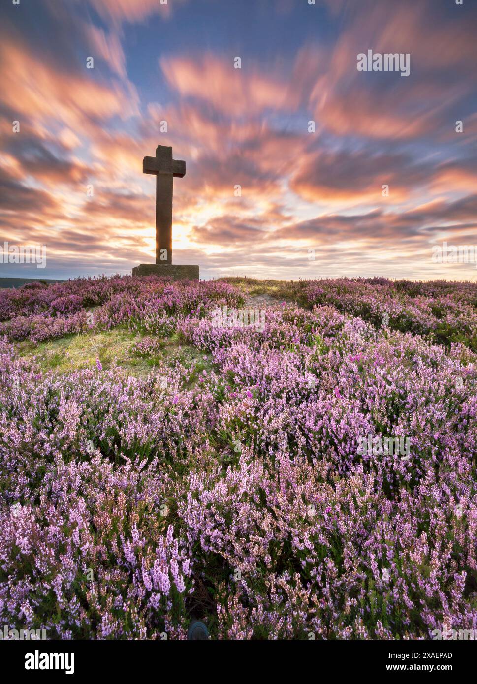 Heather in Bloom & Ana Cross on wild Spaunton Moor, Rosedale, The North ...