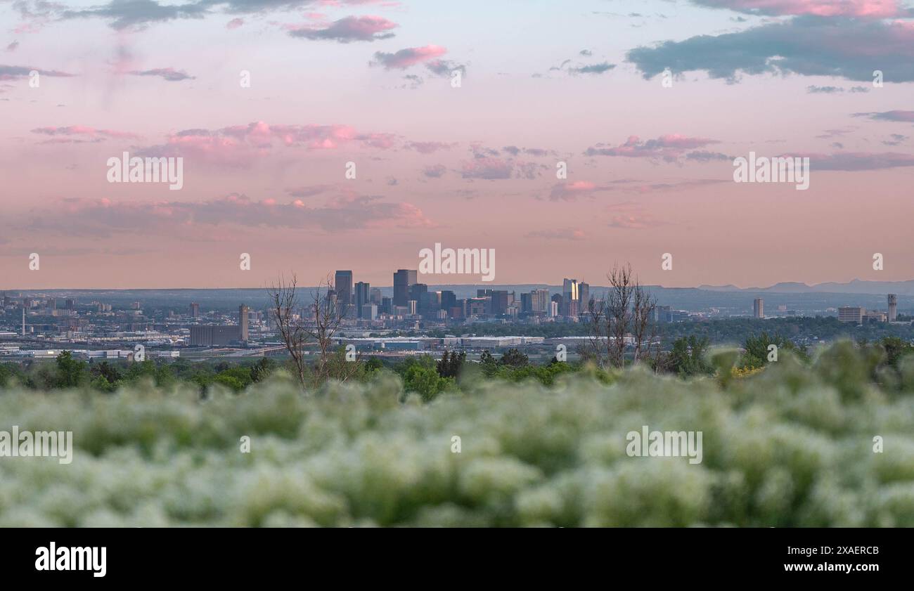 The Sunset time in Denver , Colorado , USA Downtown City glowing ...