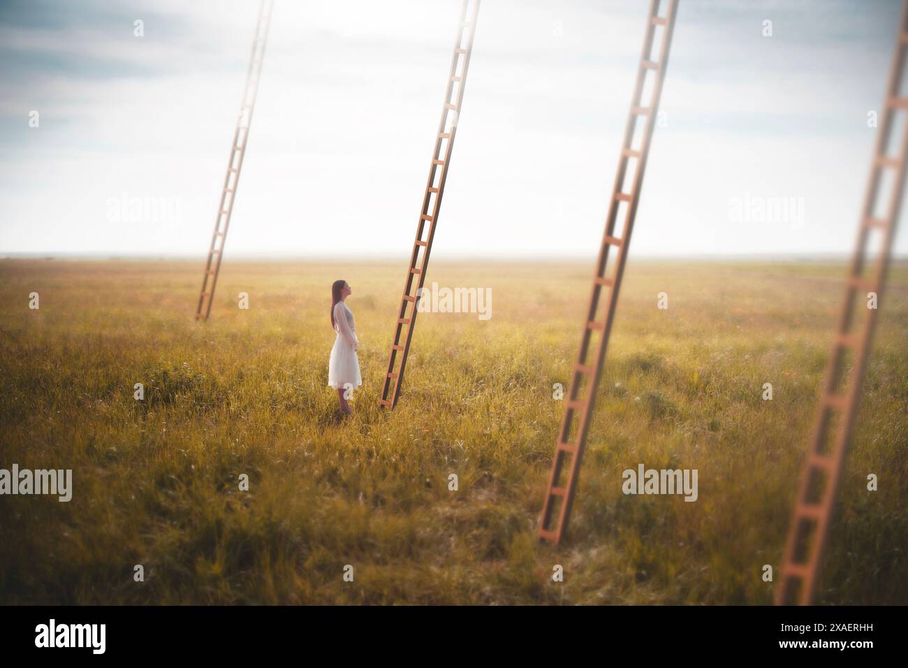 woman chooses a surreal ladder out of many that descend from the sky ...