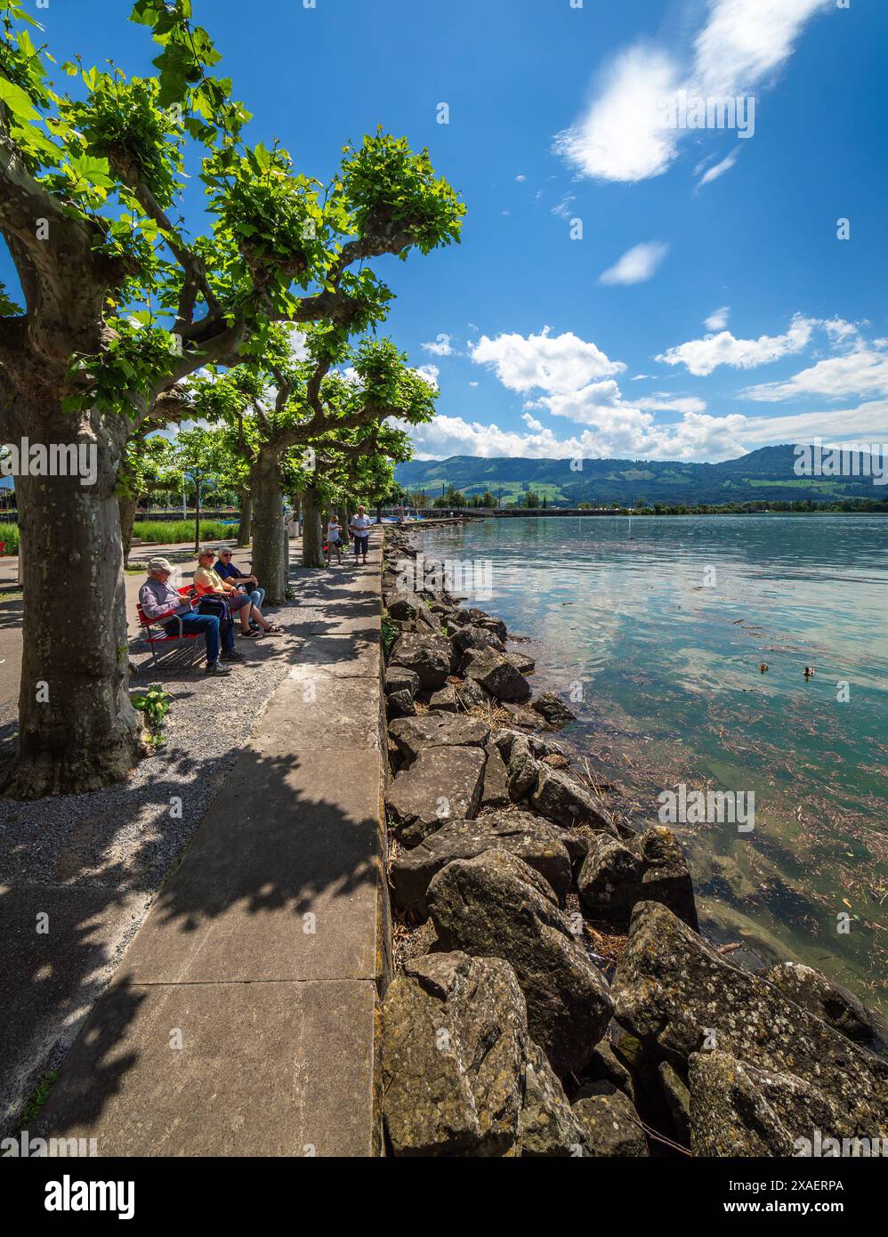 Rapperswil, Switzerland - June 5, 2024: Serene lakeside view with ...