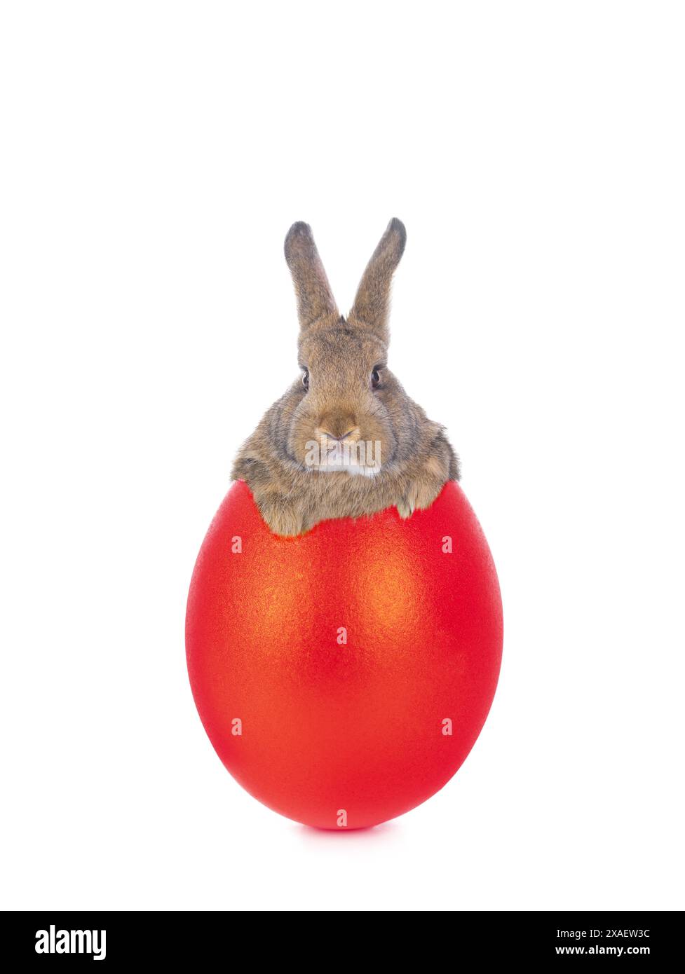 Easter story hi-res stock photography and images - Alamy