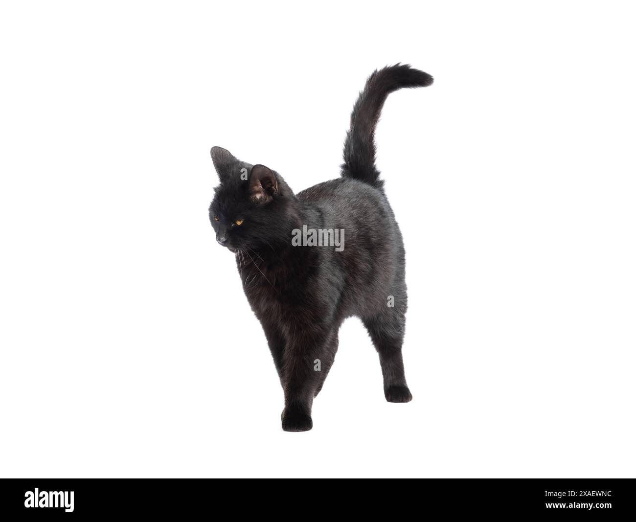 Magical eyes Cut Out Stock Images & Pictures - Alamy