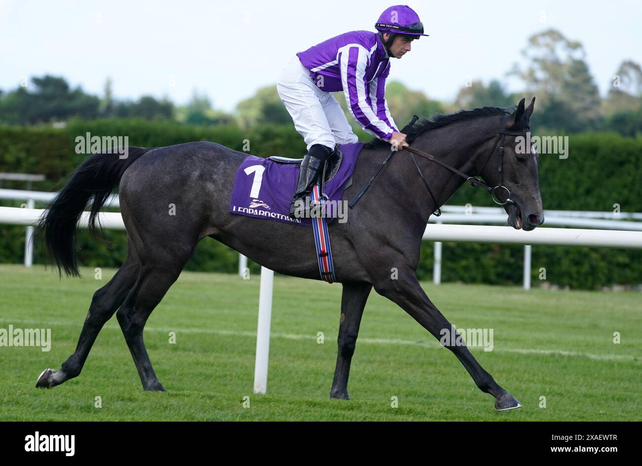 Bedtime Story and Wayne Lordan going to post before the Irish Stallion ...